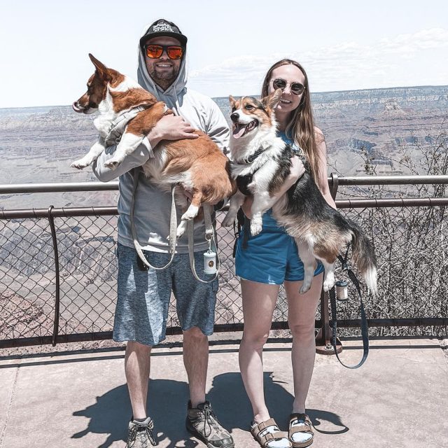 Mighty Five Vlog - Amanda's Avenue